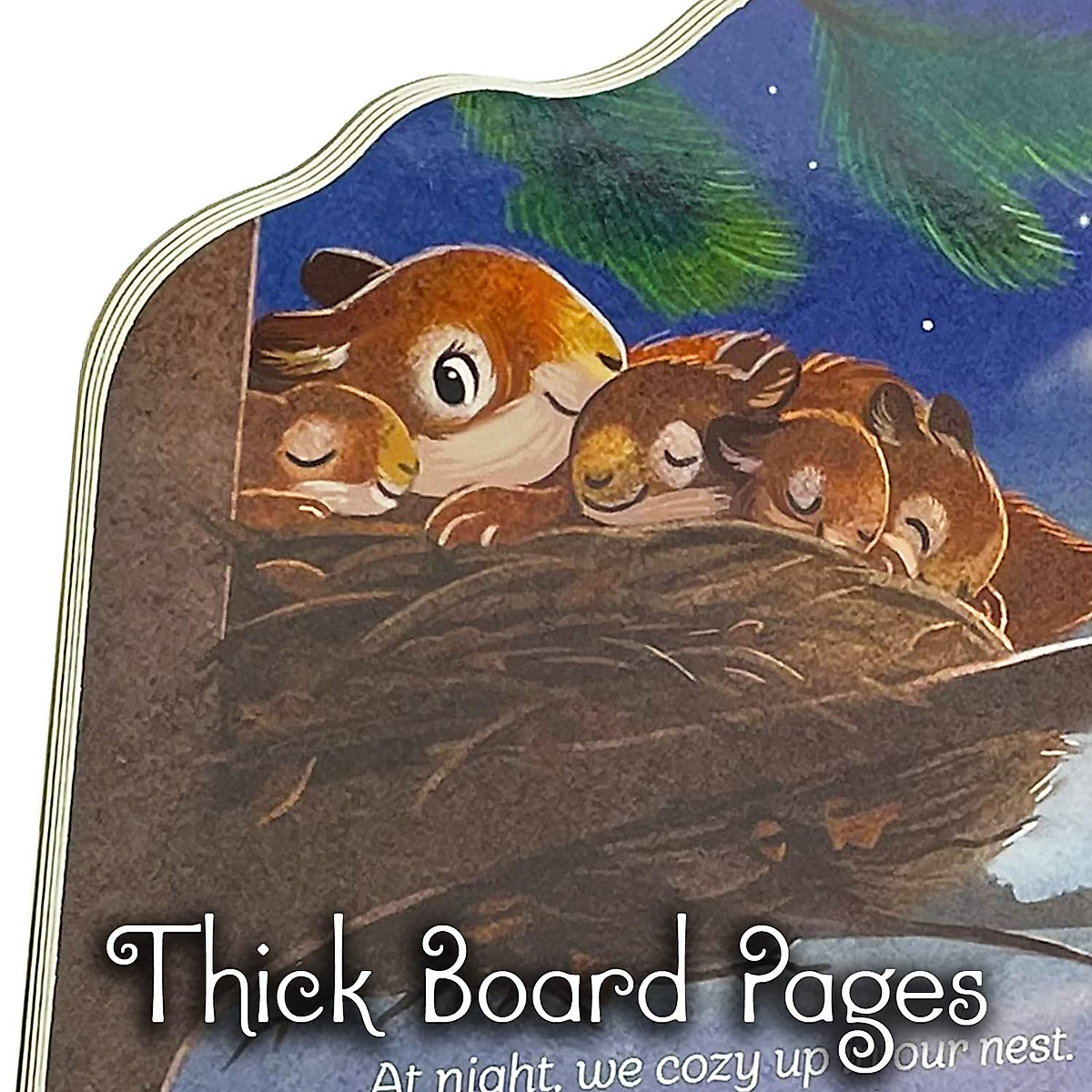 A Little Squirrel - An Animal-Shaped Children's Board Book, Ages 1-5