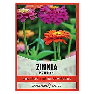 Zinnia Seeds for Planting Outdoors (Pompon) Flower Seed Packet Annual Flower Heirloom, Non-GMO Variety- 800mg Seeds Great for Summer Seeds for Flower Gardens by Gardeners Basics