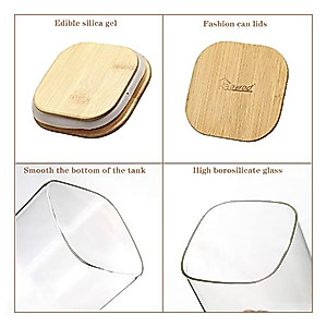 32 Oz Glass Jars With Lids 3 Pcs 32oz Glass Container Glass Food Storage Jars Food Storage Jars Bamboo Lid Storage Containers Glass Storage Jars Glass Food Storage Containers With Bamboo Lids Pantry