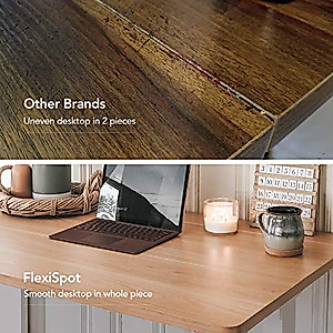 FLEXISPOT EC1 Essential Adjustable Desk, Electric Standing Desk Sit Stand Desk, 48 x 24 Inches Home Office Table Stand up Desk(Gray Frame+Special Walnut Top)