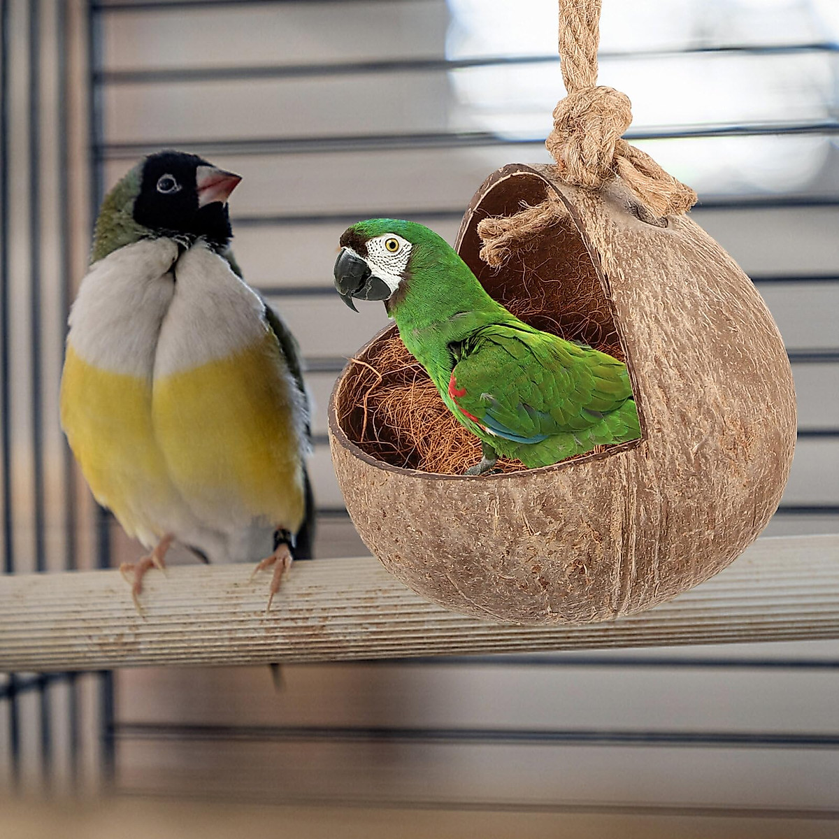 POPETPOP Coconut Shell Nest Toy Parakeet Bed Pet Bird Hanging Hut Wear-Resistant Bird Nest Bird Coconut Swing Bird Bed Bird Supply Bird Sleeping Nest Pet Parrot Sleeping Bed Long Tail House