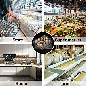 KUKLIPJIM 220 Pack Quail Egg Cartons, Clear Plastic Quail Egg Trays, Holds up to 12 Quail Eggs Securely - Your Ultimate Small Eggs Carton Holders for Bulk Storage and Display
