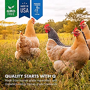 Equa Holistics HealthyGut Probiotics for Chickens & Poultry, All-Natural Digestive System Dietary Supplement (30 Scoops)
