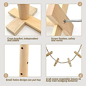 Hamiledyi Rabbit Feeding Rack, Bunny Wooden Hay Holder, Guinea Pig Standing Feeder,Vegetable Fruit Snacks Less Waste for Rabbit Chinchilla Guinea Pig