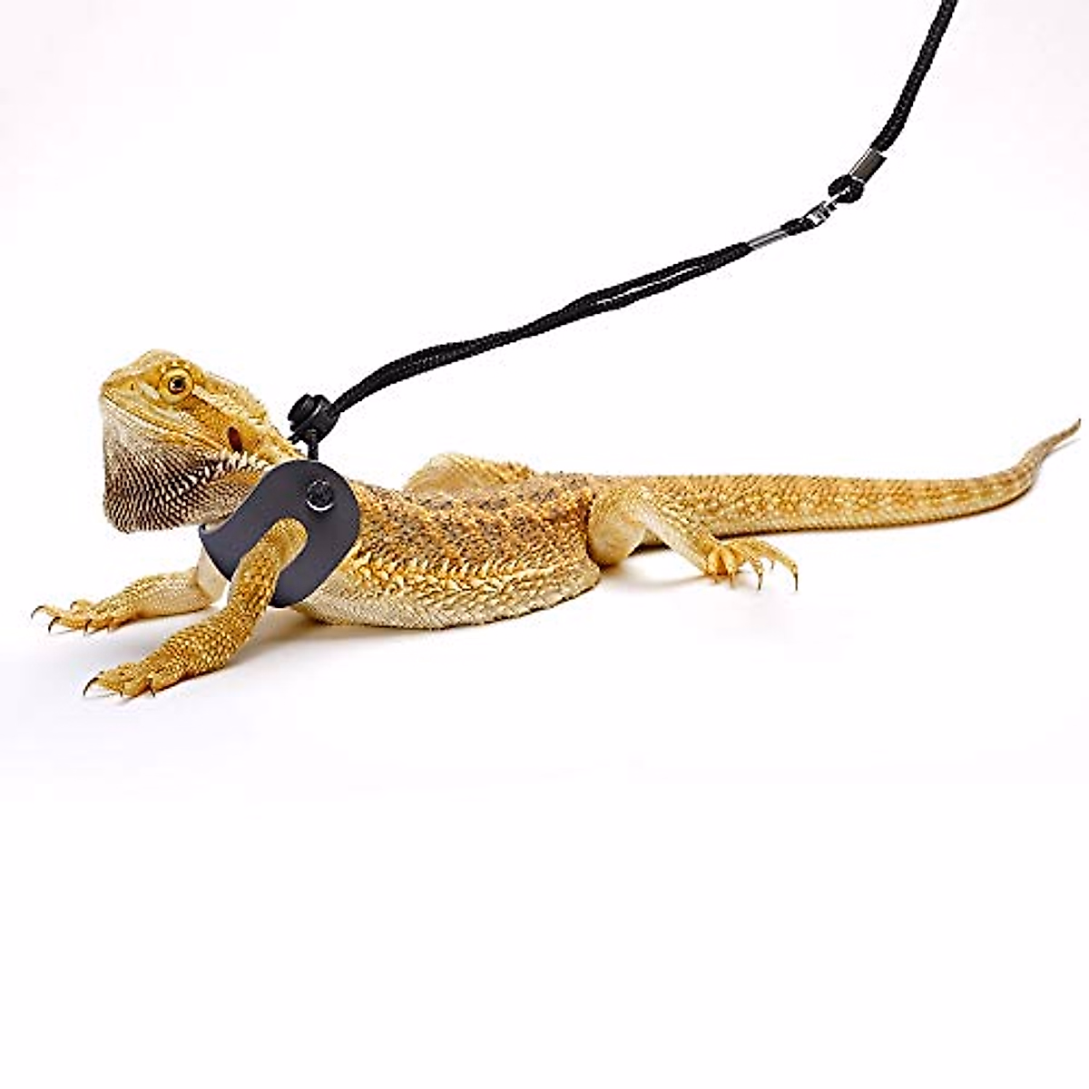 POLKASTORE Bearded Dragon Harness and Leash Adjustable(S,M,L, 3 Pack) - Soft Leather Reptile Lizard Leash for Amphibians and Other Small Pet Animals