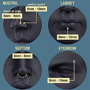 2pc 16g Hinged Clicker Captive Bead Ring Rose Gold 10mm Helix Earring Nose Hoop Rook Cartilage Tragus Lip Septum Forward Eyebrow Ear Lobe Nostril Rings Seamless Surgical Steel