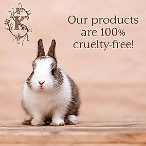 Shelley Kyle Signature Mini Gift Set, Includes Travel Size Perfume, Lotion, and Shower Gel, Packaged in Beautiful Cream and Gold Gift Box with Ribbon