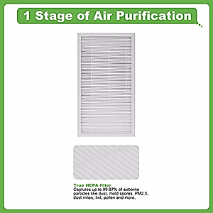 Hichoryer F1 Filter Allergen Reduction, Replacement Filter Compatible with Filtrete C01 T02 Room Air Purifier FAP-C01-F1 and FAP-T02-F1,2 Pack