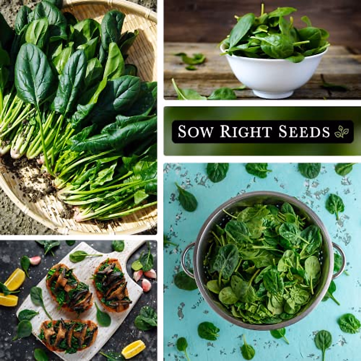 Sow Right Seeds - Viroflay Spinach Seed for Planting - Non-GMO Heirloom Packet with Instructions to Plant a Home Vegetable Garden, Great Gardening Gift (1)