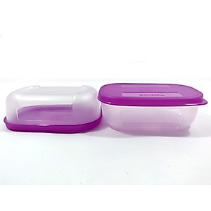 Tupperware Freezer Mini Mate 110 ml Plastic Container (Set of 4) with Free Handkerchief