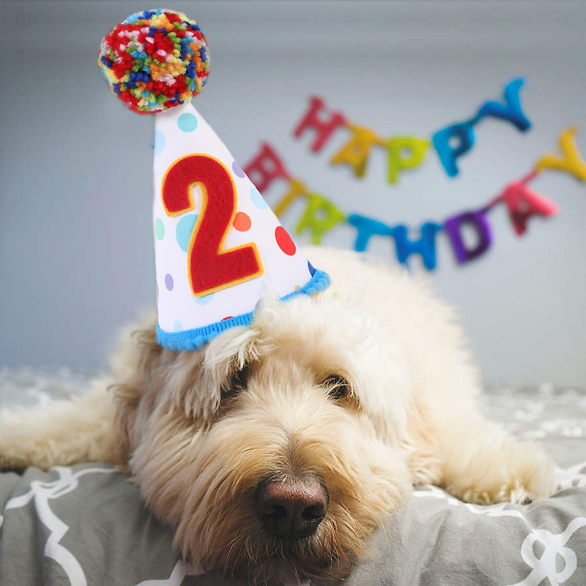 WAHAWU Baby Costume Headwear, 2nd Birthday Party Hat - Primary Colors, Handmade Baby Hat, Baby Girls/Boys Birthday Confetti Cone Hat, Colored Fur Balls Hat
