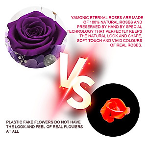 Yamonic Mom Birthday Gifts for Mom Grandmas, Angel Figurines with Real Rose Gifts for Her Mom Grandma,Preserved Flowers Rose Angel Figurines for Mothers Day Christmas Birthday Gifts for Women(Purple)