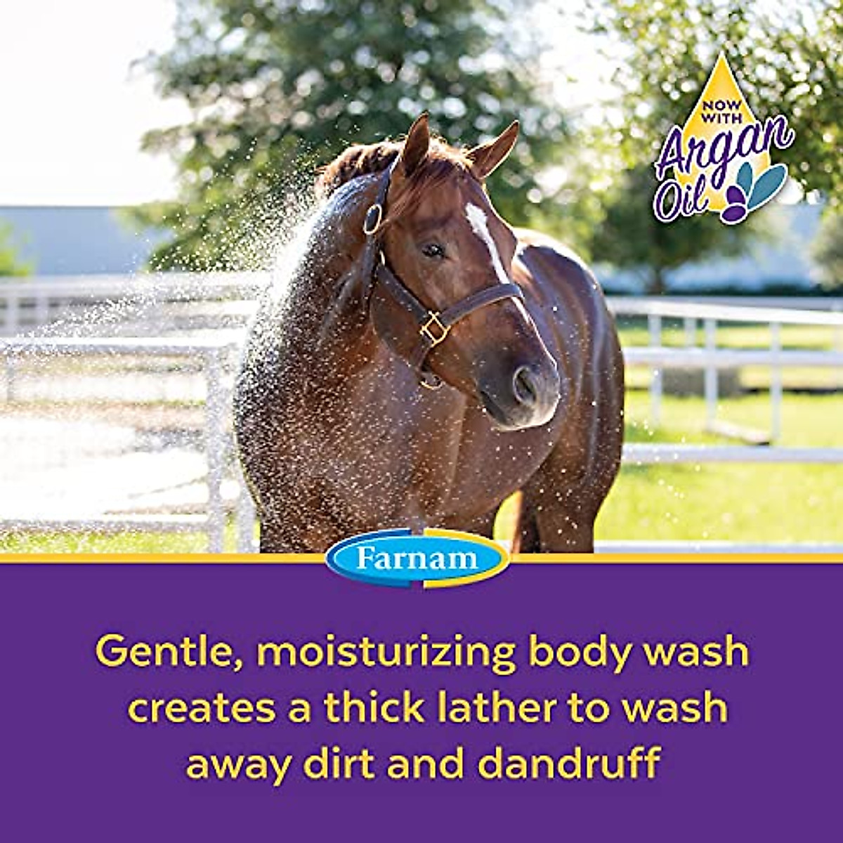 Farnam Vetrolin Body Wash Ultra-Hydrating Shampoo for Horses and Dogs 32 Ounces