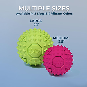 Best Pet Supplies Squeaky Rubber Spiky Ball Dog Toy, Ideal Dog Toys for Chewers, Small, Medium & Large Dogs, and Fetch Lovers Pack of 4 (Fuchsia, Green, Blue, Orange), Medium 2.5"