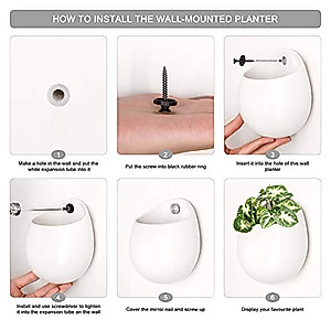 Mkono 4 Inch Wall Mounted Planter Round Ceramic Hanging Plant Holder Decorative Flower Display Vase Succulent Pots for Indoor Plants, Set of 3, White (Plants NOT Included)