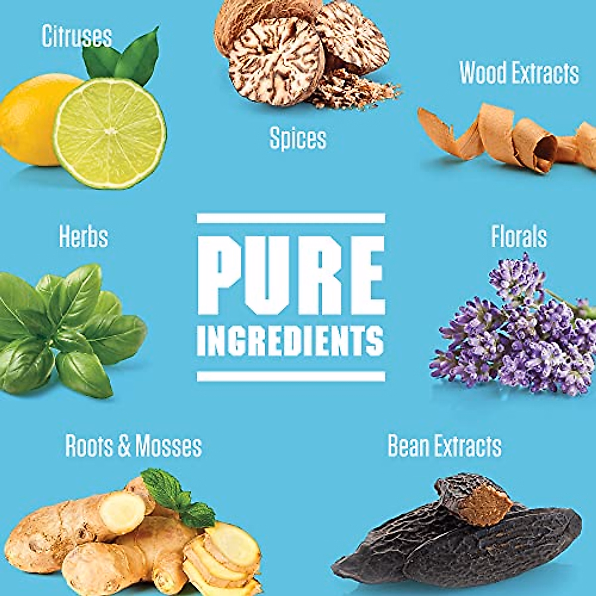 Original Nitro Musk version of Tobacco Vanille (T.F.), No. 298, 1.5oz of Pure Concentrated Oil Cologne, Cologne for Men, Ingeniously Crafted Using the Finest Ingredients by Musk and Hustle in the U.S.