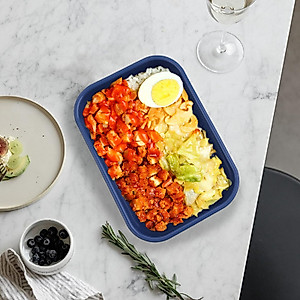 BUWUSMU 4 Pcs 2 Cup Silicone Freezer Trays with Lid Silicone Soup Freezer Molds Rectangle Soup Freezer Containers Reusable Food Preserving Tray Freezing Ice Trays for Soups Sauces Stews Curries(Blue)