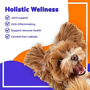 Supplement Anti Inflammatory for Dogs with Turmeric, Hip, and Joint - Dog Arthritis Pain Relief, Support for Mobility & Wellness, USA Made-GMP Certified, Non-GMO, 120 Tablets - Jack & Milo