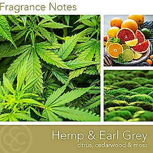 Manly Indulgence Hemp & Earl Grey Scented Jar Candle, All American Collection, 2 Wick, Green, 15 oz - Up to 60 Hours Burn