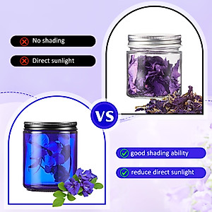 32 Pcs 8 oz Glass Jars with Black Metal Lids Round Empty Candle Making Jar Bulk Small Candle Jars Leakproof Canning Body Butter Containers for Spice Powder Liquid Food Storage (Blue)