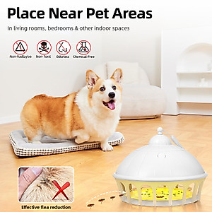 Upgraded Flea Traps for Inside Your Home,Flea Treatment with Light and 5 Flea Trap Refills,Flea Light Trap for Indoor,Flea Bombs for Home,Flea Killer Traps for Home, Friendly to Pets & Children