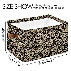 ALAZA Cheetah Leopard Print Animal Skin Foldable Storage Box Storage Basket Organizer Bins with Handles for Shelf Closet Living Room Bedroom Home Office 1 Pack