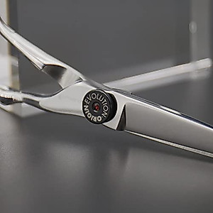 AOLANDUO 6" Hair Cutting Scissor - High End AICHI Steel Handmade Barber Scissors-Razor Edge/Offset Design/Pro Ergonomic for Salon Stylists Beauticians and Barbers… B09B3DT5SD