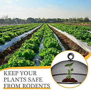 5 Pcs Metal Mesh Food Cover for Outdoors Include 18.5 In Extra Large Mesh Food Tents Fly Fruit Screen Food Net 4 Pcs 11 In Large Dome Plate Covers for Dinner Plates Reusable Picnic Food (Black)