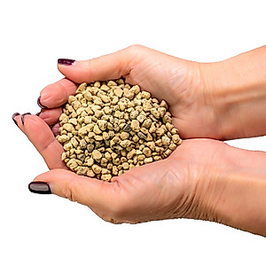 GARDENERA Pure Hard Akadama for Bonsai/Succulent Soil - (3mm-6mm) Small Grain for Cactus, Bonsai Plants Soil Amendment, Prevent Over Water, Provides Optimal Water Retention, Fast Drainage (5 Quart)