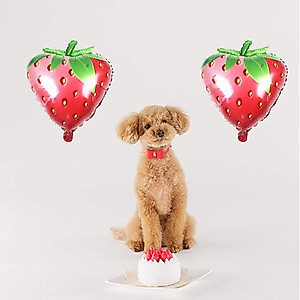 HORUIUS Strawberry Balloons Fruit Strawberry Foil Mylar Balloons for Baby Shower Strawberry Themed Party Birthday Decoration Supplies 28 inch 5PCS