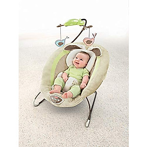 Fisher-Price My Little Snugabunny Deluxe Bouncer