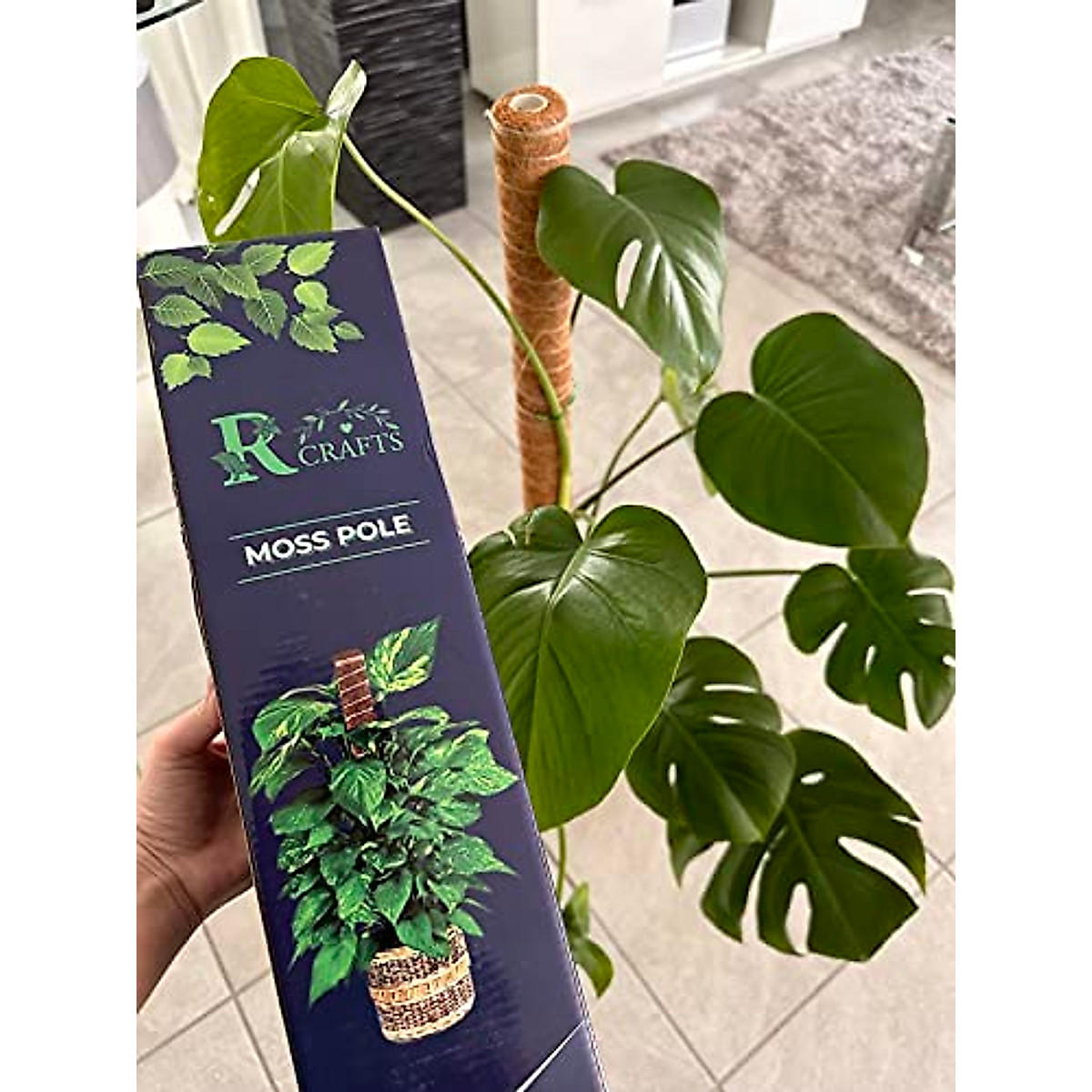 Rcraft 63 Inch Tall Moss Pole for Plants Monstera 4 Pack with Hemp Rope, Bendable Stakes for Indoor Plants Support/Totem Pole, Climbing Plants Sticks for Growth- Perfect for Medium/Large House Plants