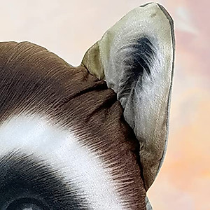 L.F.Z Cute Dog Face Pillow Plush Fun Pillows Soft Outdoor Pillows Personalized Sofa Backrest Pillow(Raccoon)