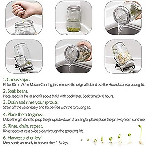 Seeds Sprouting Kit, 2-Pack Mason Jar Germination Growing Kit with Stainless Steel Mesh Lids and Stands, Wide Mouth Jars Germinator, Indoor Seed Sprouter Set for Broccoli Beans Microgreens Sprouts
