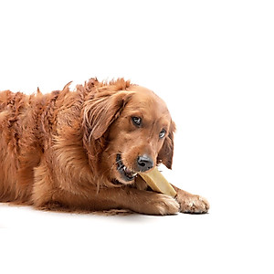 Himal Dog Treat , 100% Natural Yak Chew (Extra Large 5.5-6.5 oz) for Dog Under 70 Lb