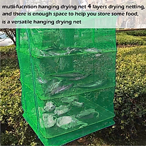 WEISGJA Hanging Drying Rack 4 Layers Foldable Nylon Netting, Folding Fish Mesh, Drying Fish Net for Shrimp Fish Fruit Vegetables Herb, with Zipper Opening, Green (22.4X15.7X25.5 in/Large)