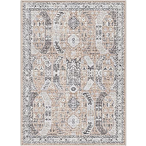 befbee 5x7 Area Rugs for Living Room,Stain Resistant Washable Rug,Non-Slip Backing Rugs for Bedroom,Kitchen,Boho Persian Rug -Vintage Home Decor (Peach/Grey, 5'x7')