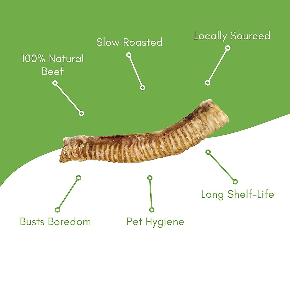 CHEWMAX 6” Trachea Beef Bone Dog Chew