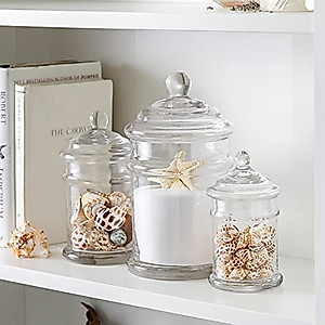 Motifeur Glass Apothecary Jars Bathroom Storage Organizer Canisters (Set of 3, Clear)