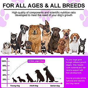 15-in-1 Dog Multivitamin Supplements with Glucosamine & Probiotics，Natural Daily Vitamins Chews for Dogs,Pet Health Support-Skin-Immunity-Gut Digestion-Joint-Heart,150 Pcs-Duck Flavor