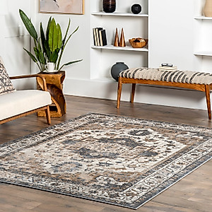 nuLOOM Sian Persian Vintage Medallion Area Rug, 5x8, Beige