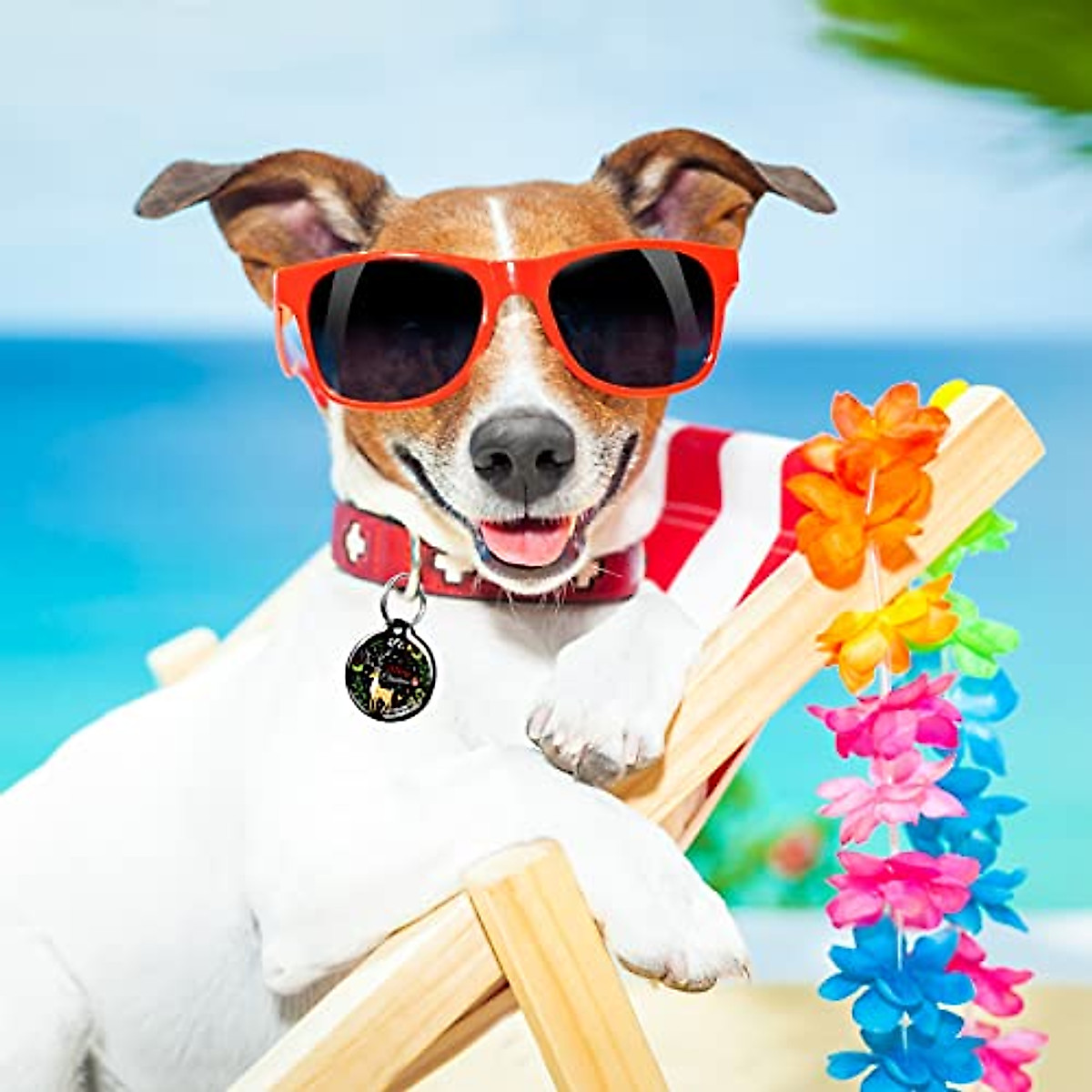 Christmas Reindeer Pattern Dog & Cat Tag - QR Code Pet ID with Online Profile - Festive Personalized Name - Holiday Themed Nameplate for Pets - Cute Seasonal Gift(Merry Christmas)