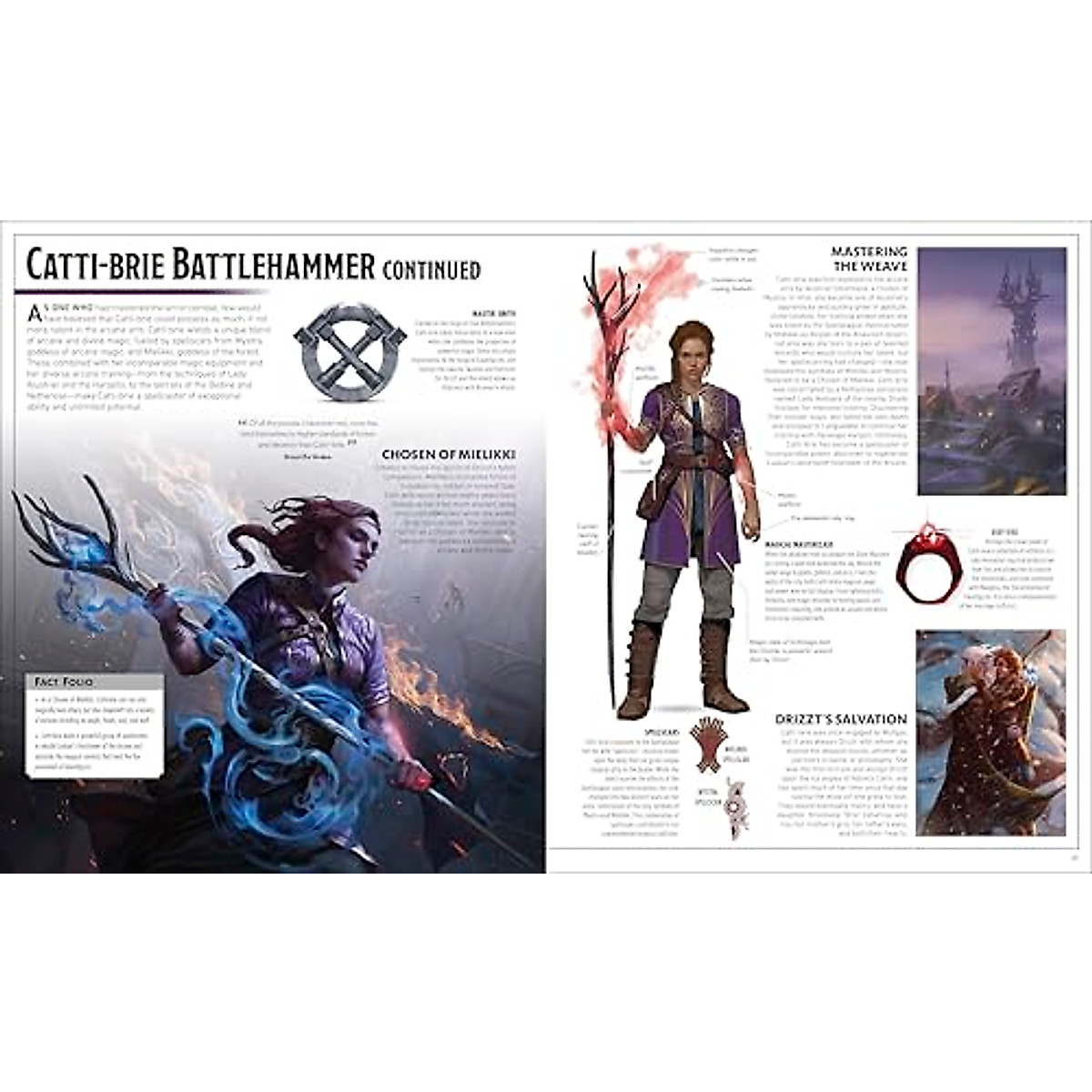 Dungeons and Dragons The Legend of Drizzt Visual Dictionary (Dungeons & Dragons)