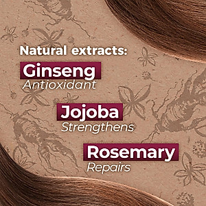 Tio Nacho Shampoo with Ginseng, Royal Jelly, Aloe Vera & Jojoba, Strengthening Hair Care to Reduce Loss & Breakage, Revitalizing, Nourishing Formula, 14 Fluid Ounces