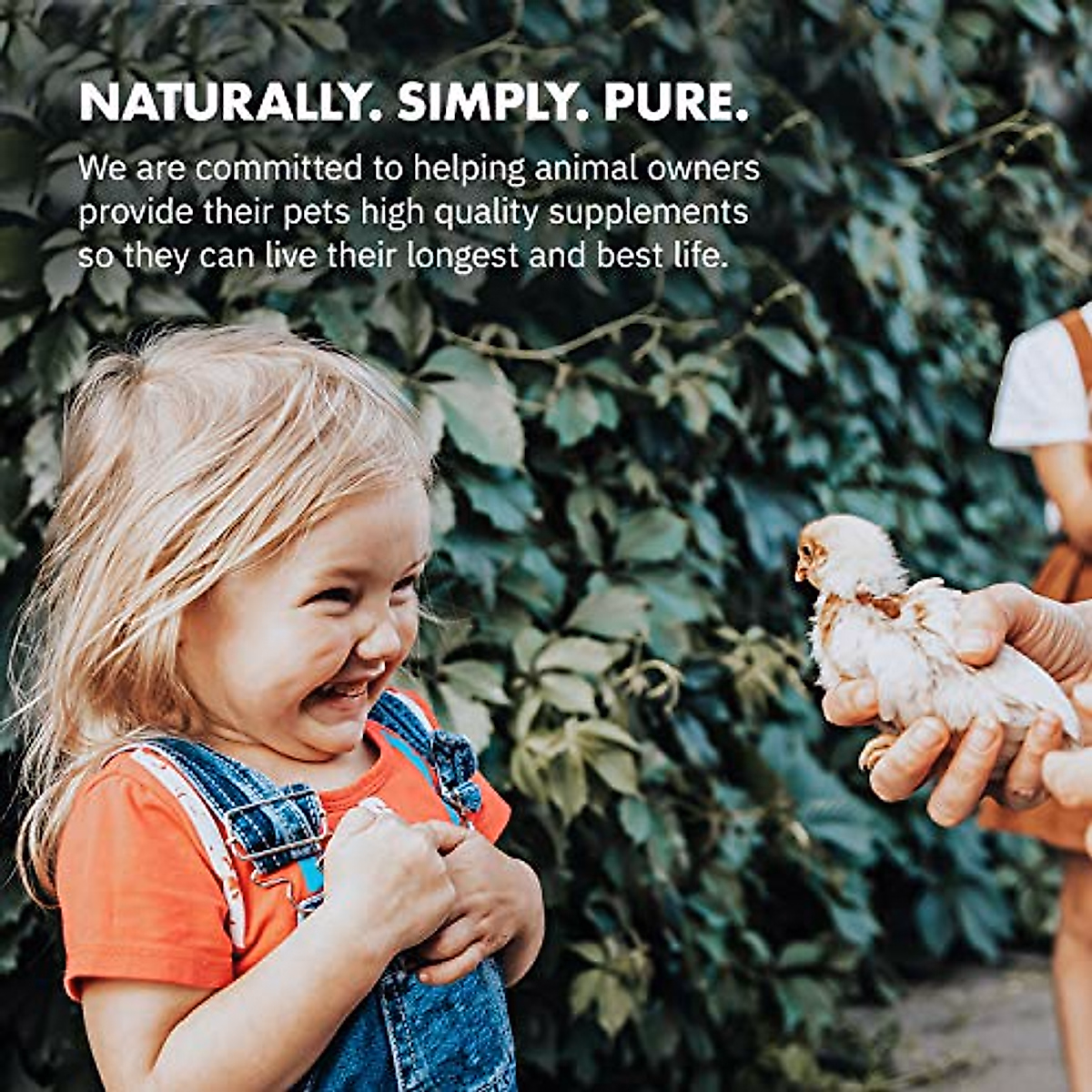 Equa Holistics HealthyGut Probiotics for Chickens & Poultry, All-Natural Digestive System Dietary Supplement (30 Scoops)