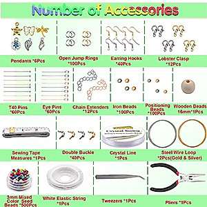 EuTengHao Natural Irregular Chips Stone Beads Gemstone Beads Kit with Tassels Wooden Beads Tiny Beads Jewelry Findings Charms Earring Hooks Beading Wire for Jewelry Making(30 Colors)