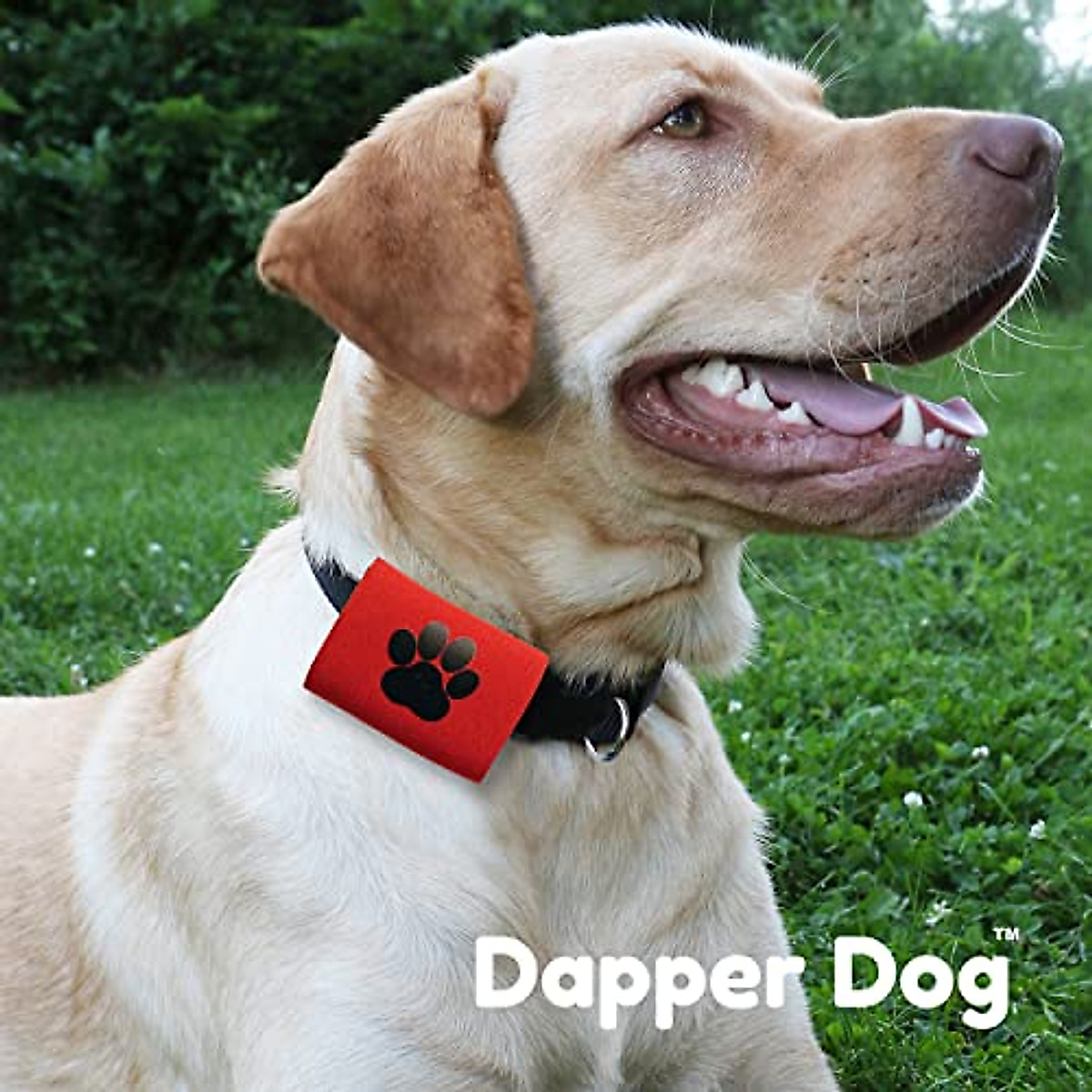 Dapper Dog Pet Tag Silencer and AirTag Holder (Red with Black Paw)