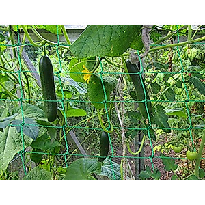 Trellis Netting for Climbing Plants - Heavy Duty Garden Trellis Netting for Cucumber, Vine, Fruits & Vegetables Tomato Plants Trellis Net, Climbing Vining Plants (16.4' x 6.6'Ft)