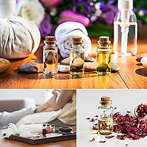 WFPLUS 60 Pieces 10ml Cork Stopper Glass Bottles - DIY Mini Glass Jars, Tiny Clear Vials with Cork for Display Art Crafts Decoration Wedding Party Supplies