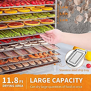10 Trays Food Dehydrator, All Stainless Steel Dehydrator Food Dryer for Jerky, Meat, Herbs, Vegetable, and Fruit, 1000W Preserve Food Nutrition Professional Household Dryer (67 Recipes)